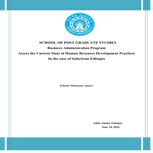 Eshetie Mekonene Amare MBA Thesis paper work 2024.pdf