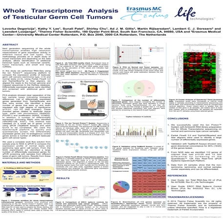 Whole Transcriptome Analysis of Testicular Germ Cell Tumors | PDF