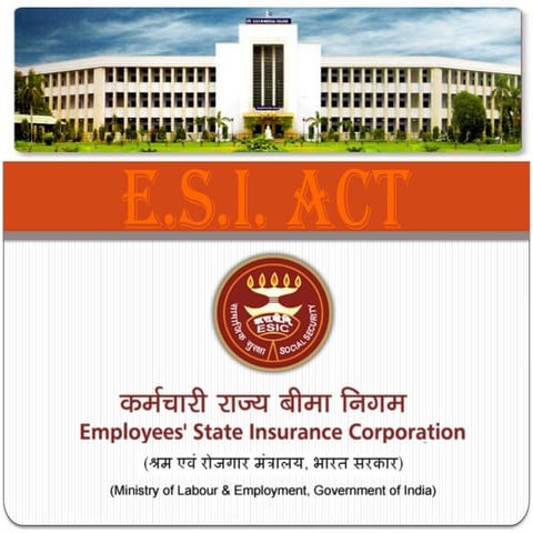 Esi Pptx For The Students Of Law And Management Pptx