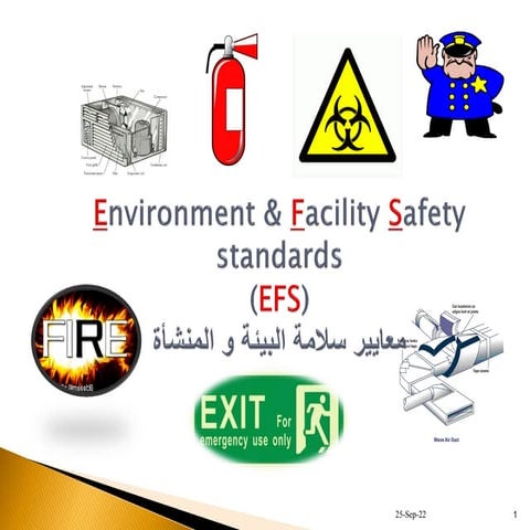 ESR (essential safety requirements) standards presentation.pptx
