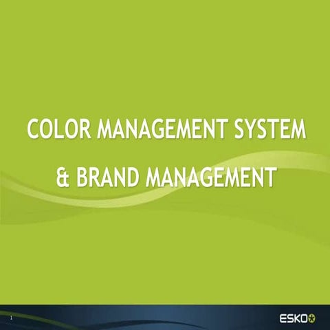 Color Management System & Brand Management | PPTX | Business | Business ...