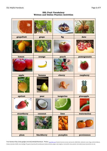 Fruit | PPT