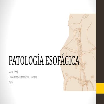 Esofago, patología esofágica | PPTX