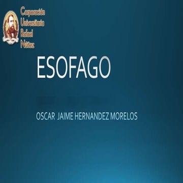 Esofago | PPT