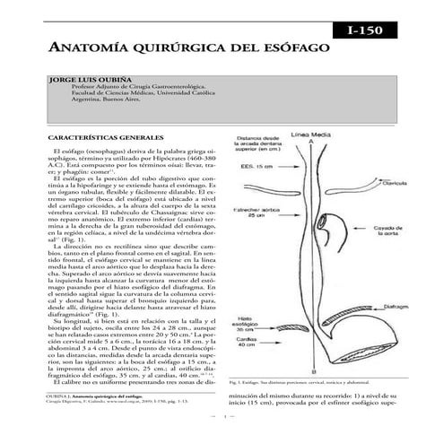 Anatomia descriptiva quirurgica del Esofago.pdf | Free Download
