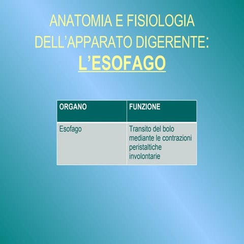 Esofago Fisio | PPT