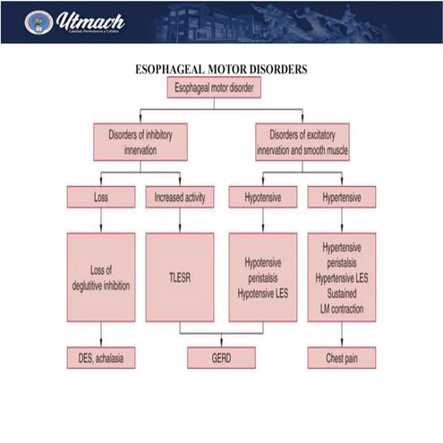 Esophageal motor disorders algorithm | PPT