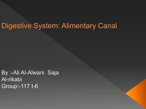 Histology & Function of The Pancreas | PPT