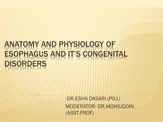 Anatomy and physiology of esophagus | PPT