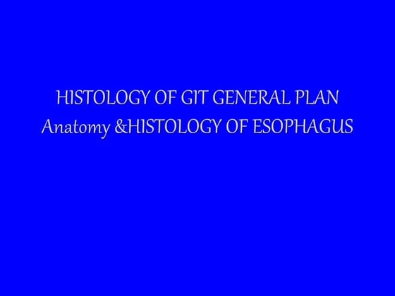 Esophagus anatomy and histology | PPT