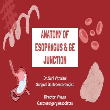 Anatomy of esophagus and GE junction: FALS 2024 | PPTX