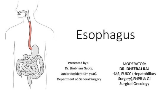 Esophagus anatomy and histology | PPTX