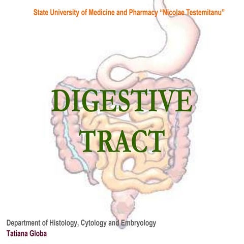 Histology of small intestine | PPTX