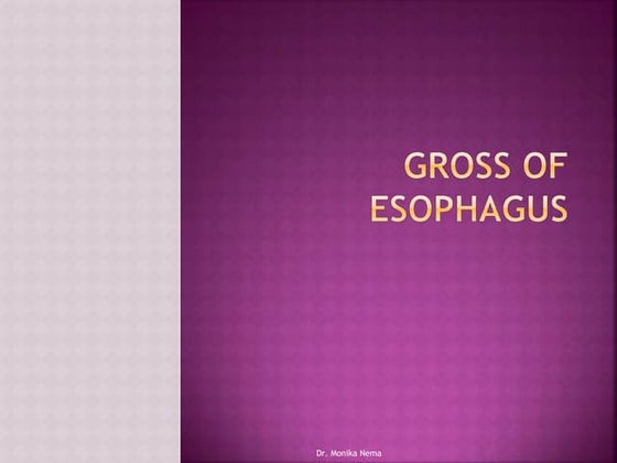 Gross of thyroid gland | PPTX | Thyroid Disorders | Endocrine and Metabolic Diseases