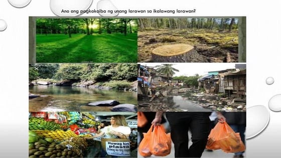 ESP Grade 10, Modules 9 and 10 | PPT