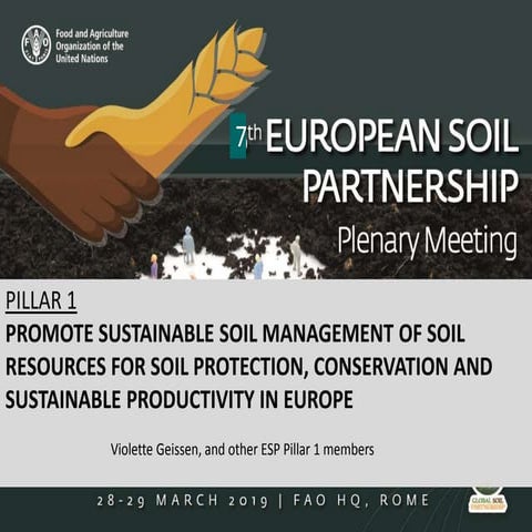 Presentation of the implementation plan for Pillar 2 | PPTX