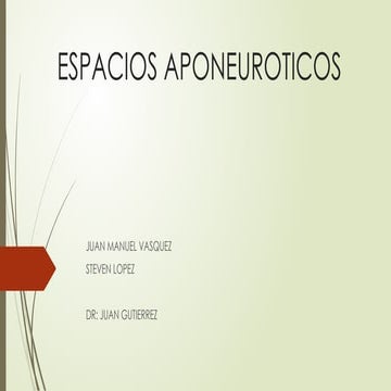 ESPACIOS APONEUROTICOS anatomia cabeza y cuello | PPTX