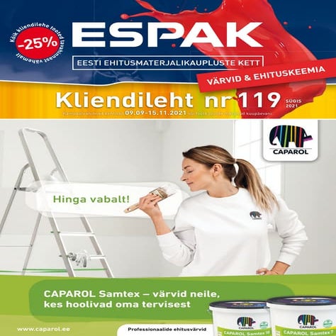 Espak 09 15.11 no 119 | PDF