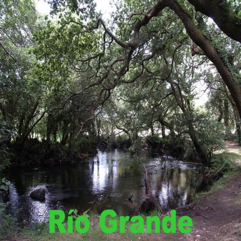 Río Nelson | PPS