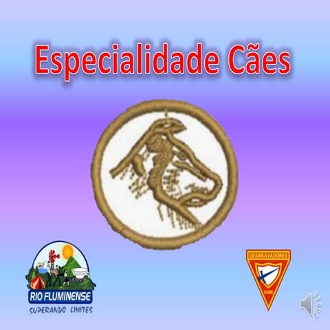 Especialidades de cães.pptx