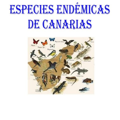 20 especies endémicas de Canarias. | PPTX