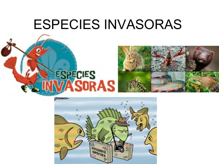 Especies invasoras