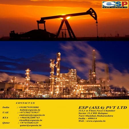 ESP-Business Profile. | PDF
