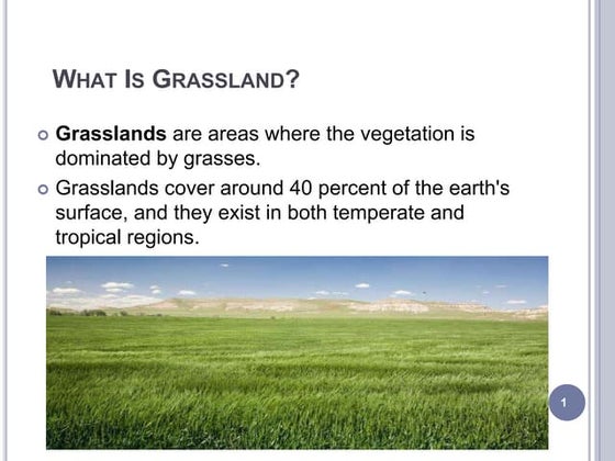 Grassland ecosystem | PPTX