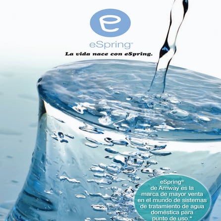 E springbrochure | PDF