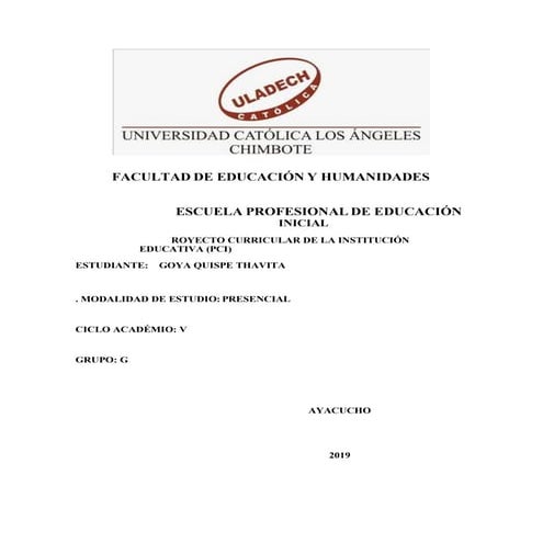 Esquema del-pci-2019 thavita | PDF