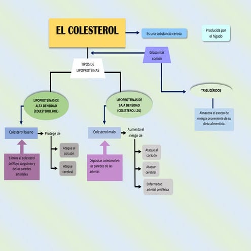 ESQUEMA COLESTEROL.pdf