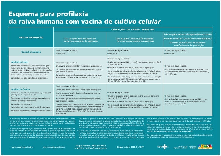Esquema para profilaxia_raiva_humana_29_03