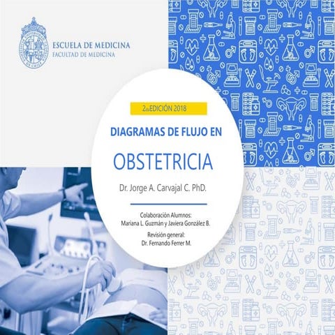 Esquemas en obstetricia | PDF