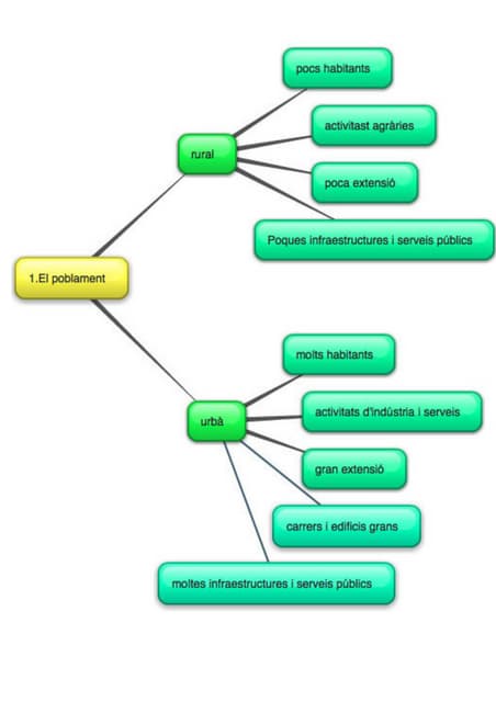 Tema 7 -activitats | PDF