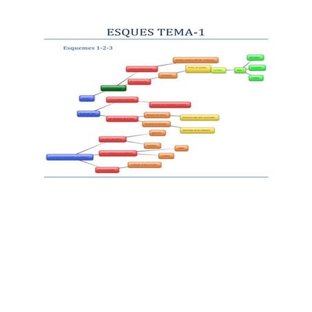 Esquemes Tema 1 Docx