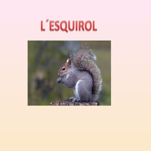 Esquirol | PPT