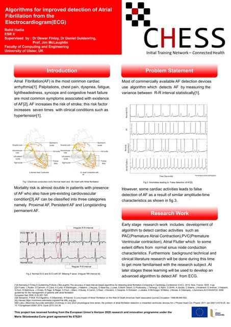 CHESS Orientation Poster ESR2 Rob Argent | PDF