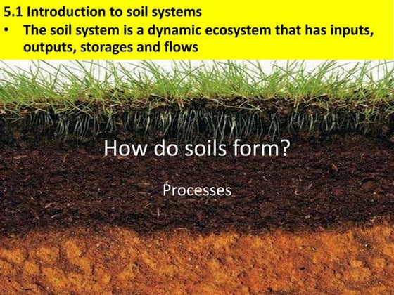 Soil Profiles/Soil Horizons.ppt