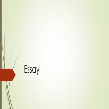 Essay | PPT