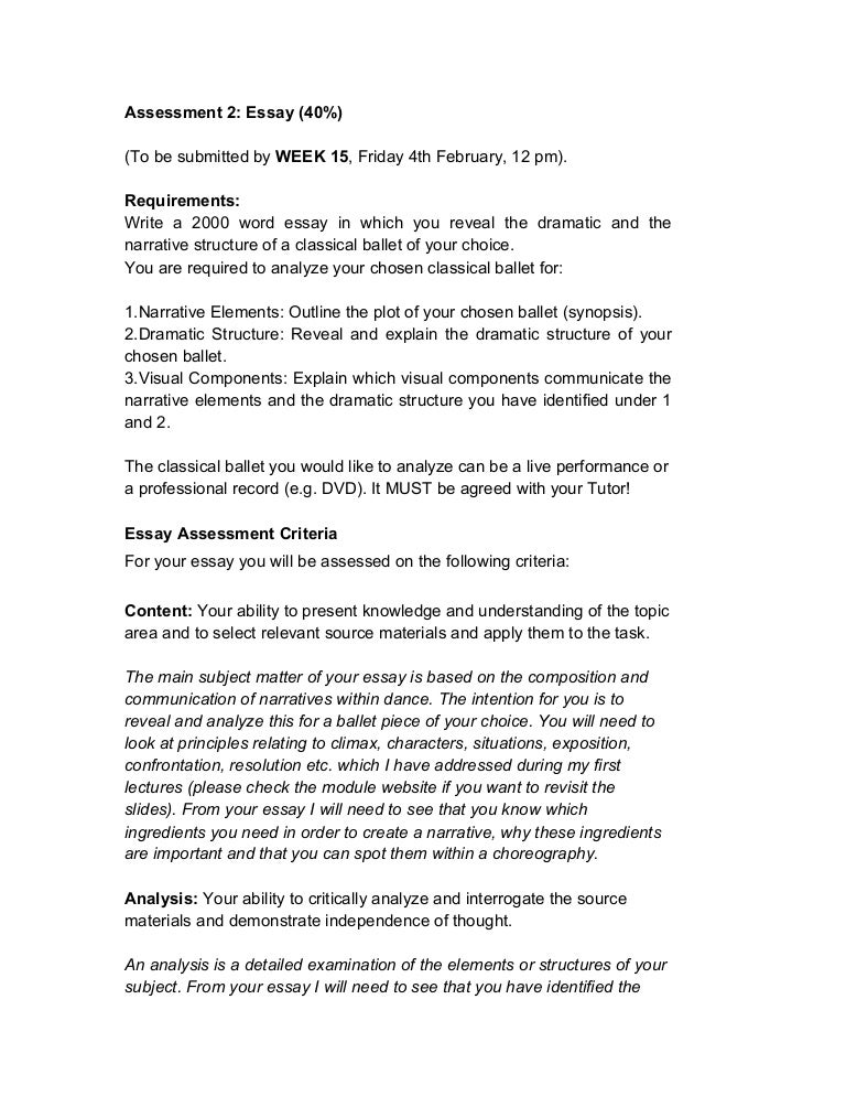 Essay Guidelines Essay Guidelines