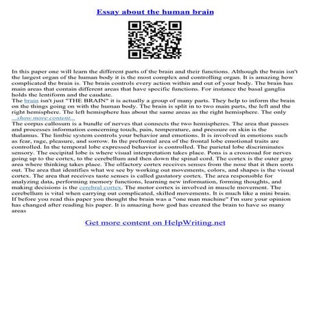 Essay Introduction Body Conclusion | PDF