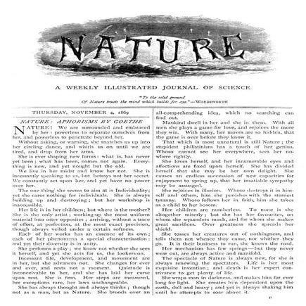 Essay on beautiful nature | PDF