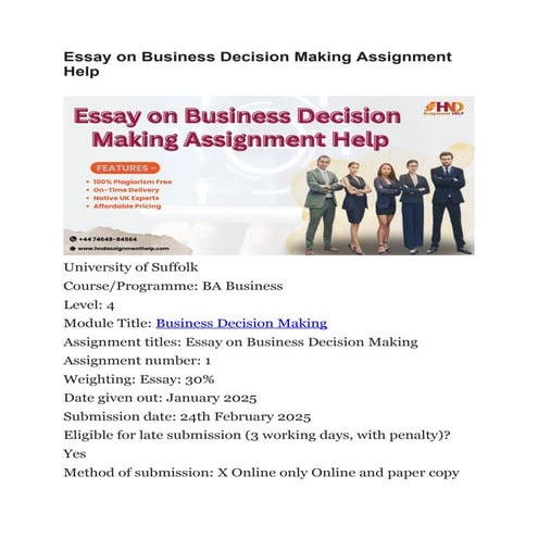 Essay on Business Decision Making Assignment Help.docx