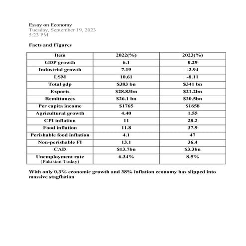 Essay on Economy.pdf