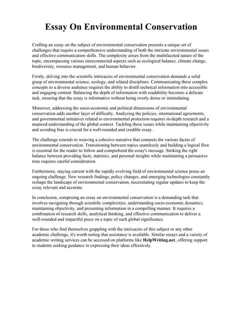 Essay On Sustainability | PDF