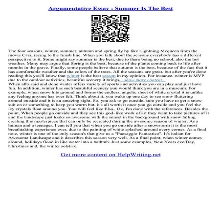 Essay On My Summer Holidays | PDF