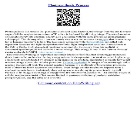 Essay On Photosynthesis | PDF