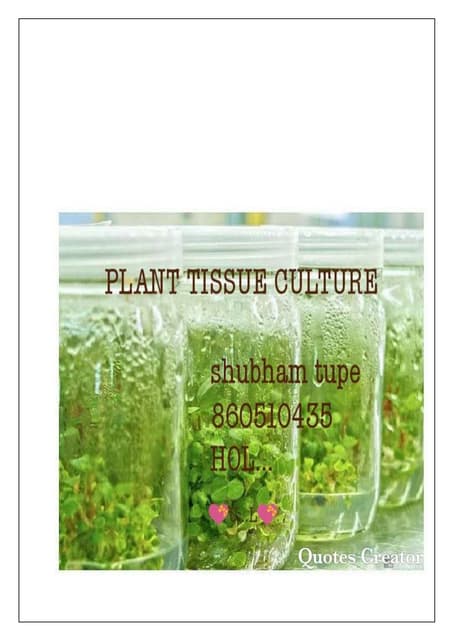 Plant tissue culture | PPTX | Biotech and Biomedical Industry | Industries