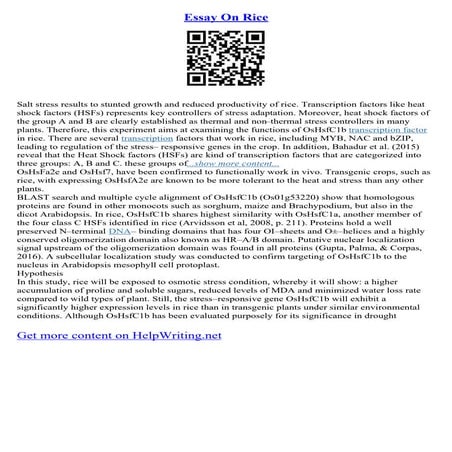 Essay On Rice | PDF