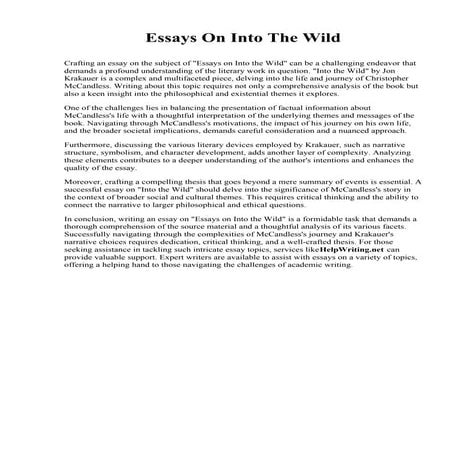 Essays On Into The Wild | PDF